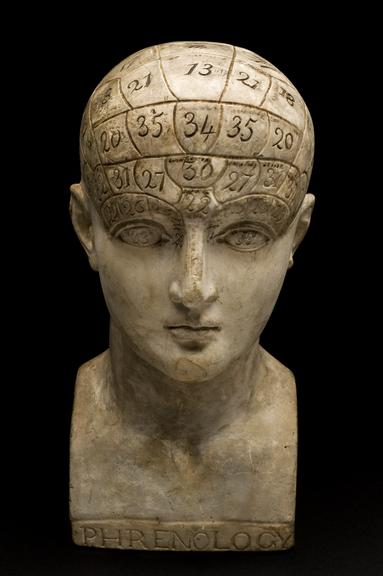 Phrenological head | Science Museum Group Collection
