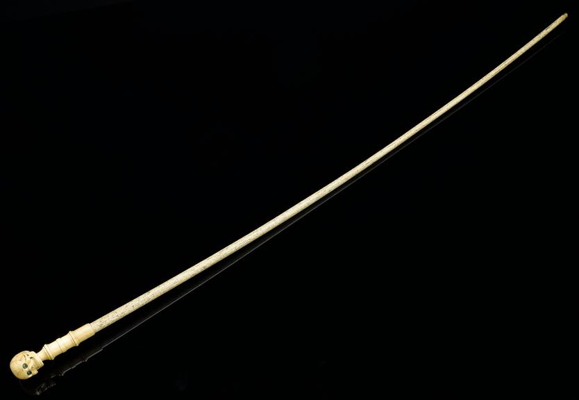 Whalebone walking stick, owned by Charles Darwin, England, 1839-1881 ...