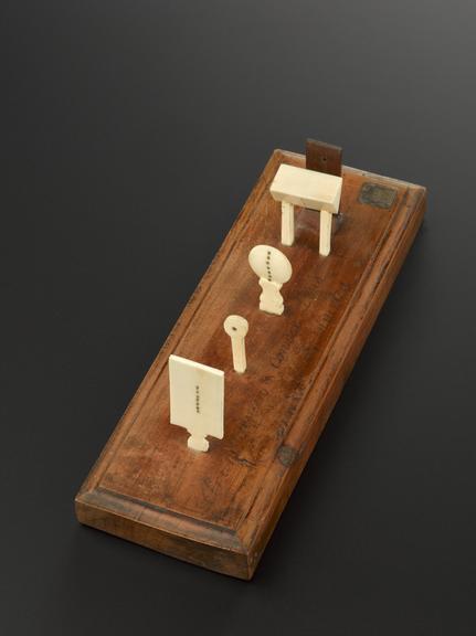 Demainbray's optical model | Science Museum Group Collection