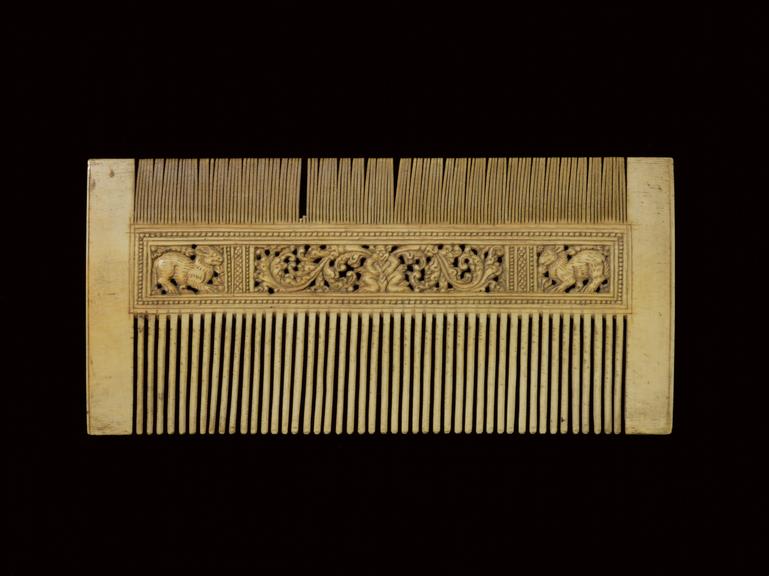 Double comb | Science Museum Group Collection
