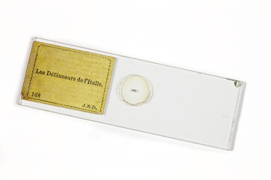 Microphotograph, made by Dancer | Science Museum Group Collection