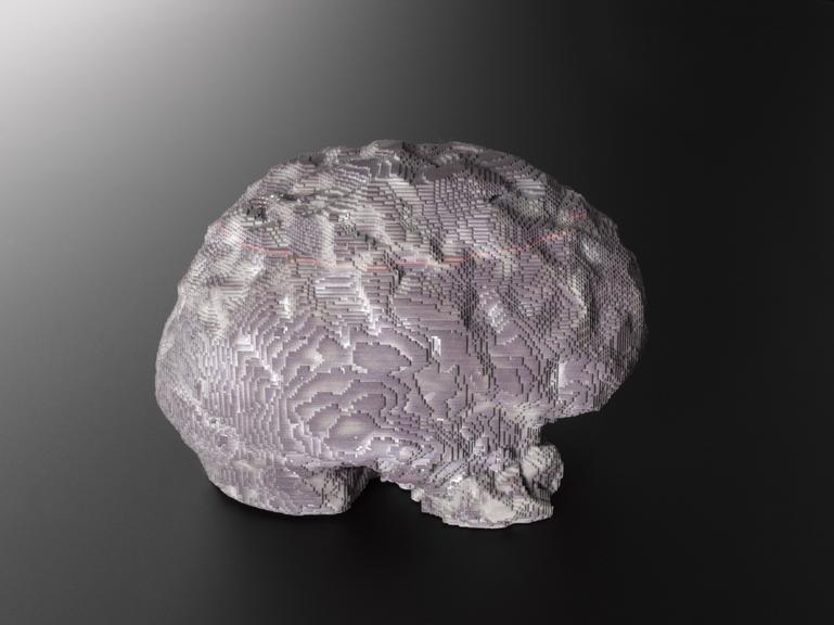 3D printed model of brain | Science Museum Group Collection