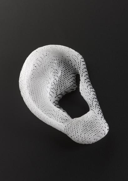 3D printed ear scaffold | Science Museum Group Collection