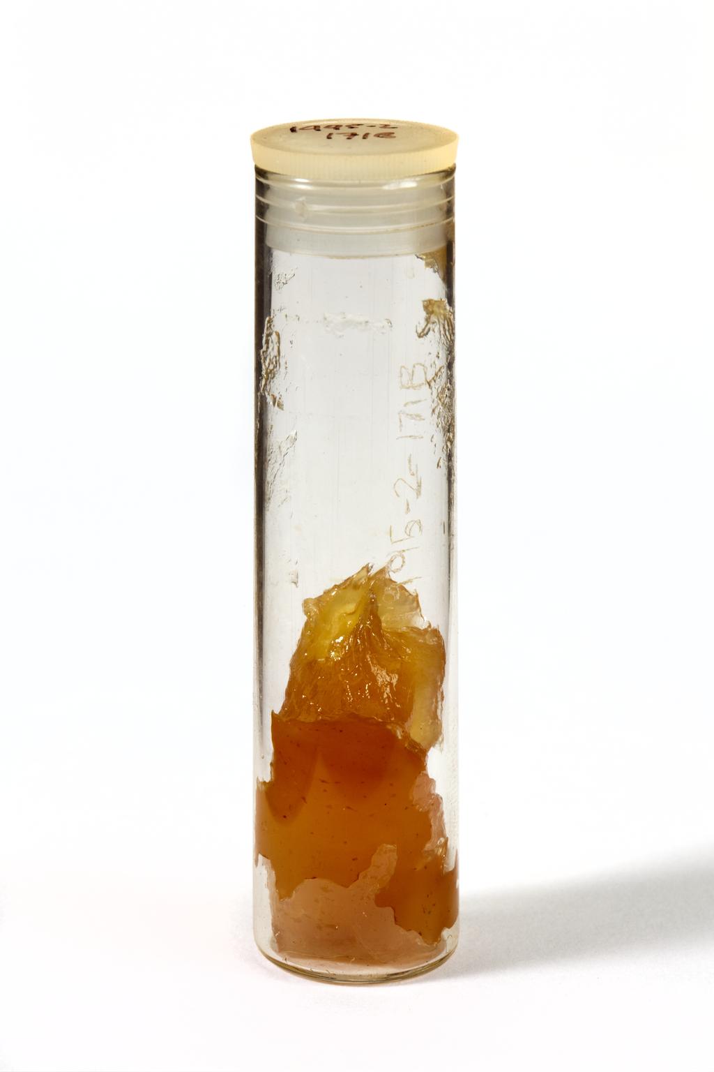 Sample of Thermogene Medicated Rub. | Science Museum Group Collection