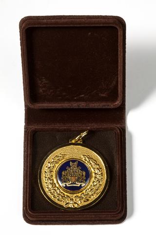 Central Electricity Generating Board medallion | Science Museum Group ...