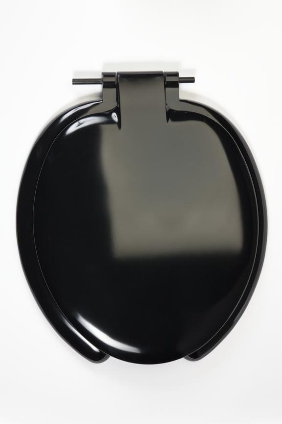 toilet seat | Science Museum Group Collection