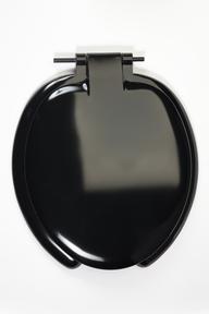 toilet seat | Science Museum Group Collection