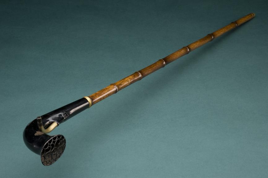 Ear trumpet and walking stick combined | Science Museum Group Collection