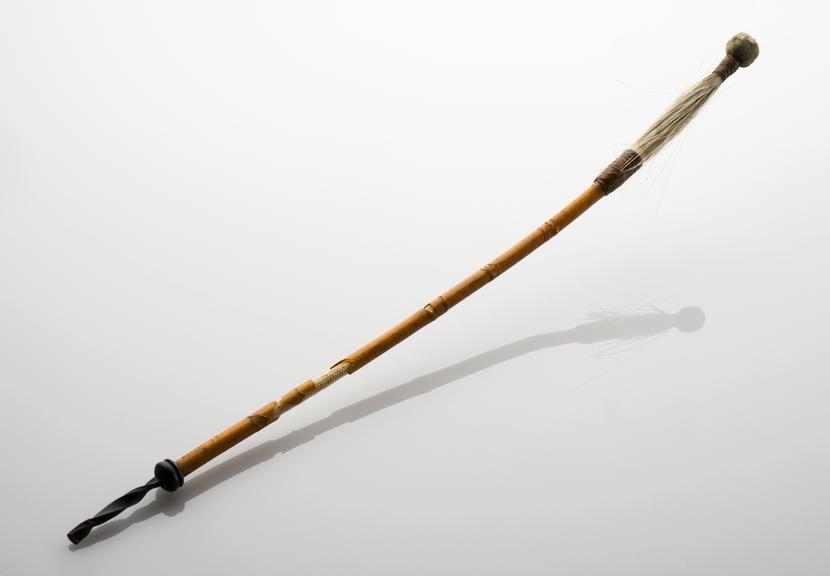 Probang, 1851-1900 | Science Museum Group Collection