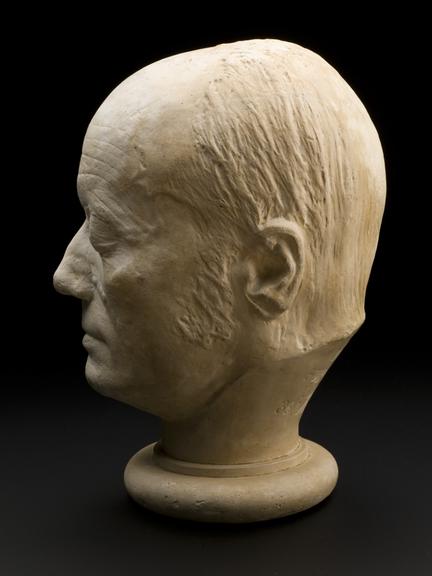 Phrenological head of Francis Gall | Science Museum Group Collection