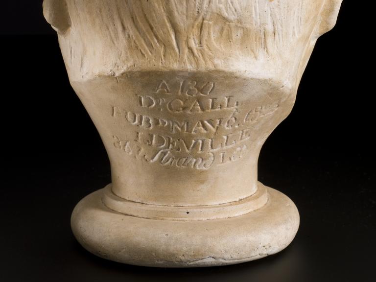 Phrenological head of Francis Gall | Science Museum Group Collection