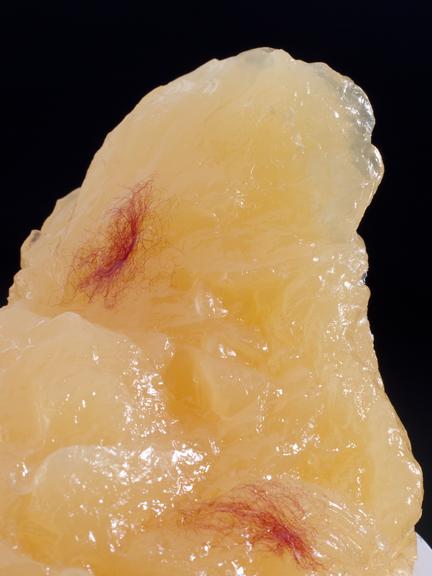 One pound of human fat plastic replica model | Science Museum Group ...