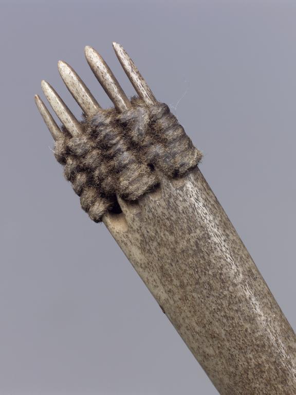 Bone tattooing needle, by Maori tribe, New Zealand | Science Museum ...