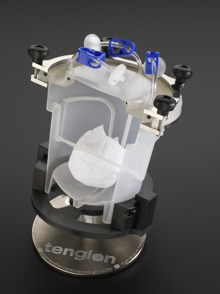 Bioreactor and scaffold for tissue-engineered bladder | Science Museum ...