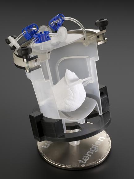Bioreactor and scaffold for tissue-engineered bladder | Science Museum Group Collection