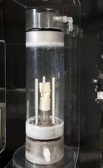 Bioreactor and scaffold for tissue engineered heart valve | Science ...