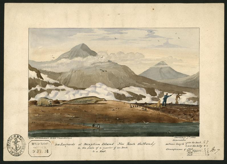 Voyage of HMS Chanticleer | Science Museum Group Collection