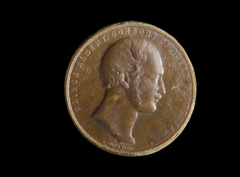 Parkesine replica of Bronze medal awarded to Alexander Parkes at the ...