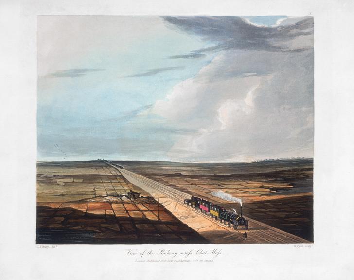 Chat Moss | Science Museum Group Collection