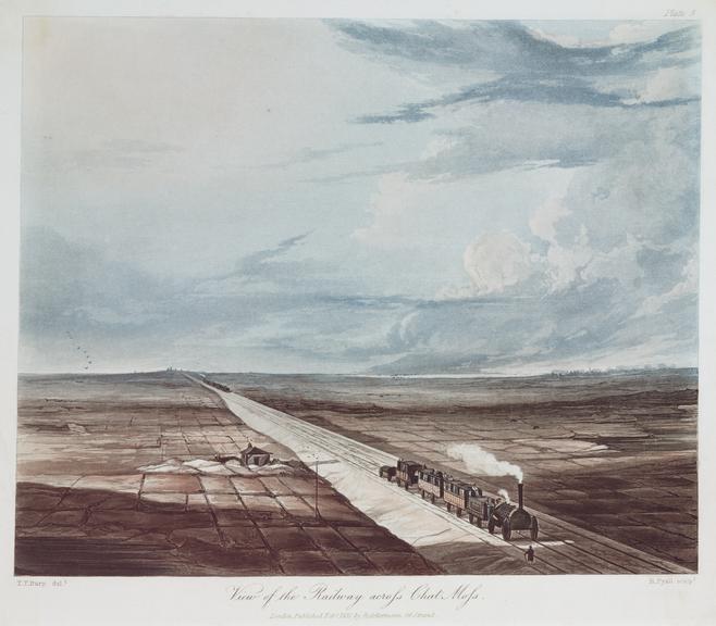 Chat Moss | Science Museum Group Collection