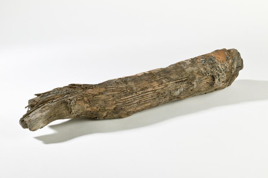 Silver birch pit prop from St Helens Collieries | Science Museum Group ...