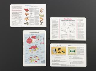 Four Micromap Infocard samples made for military purposes: Survival ...