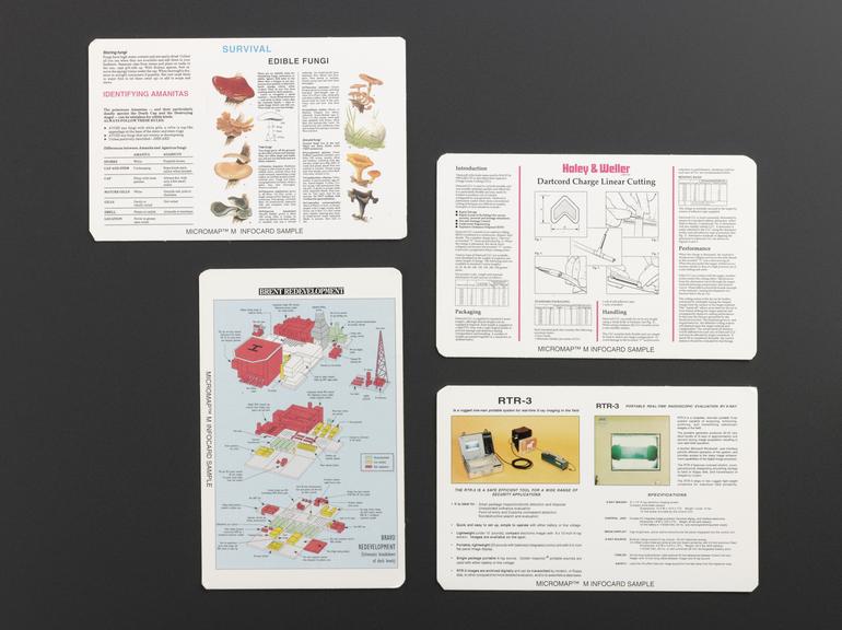 Four Micromap Infocard samples made for military purposes: Survival ...