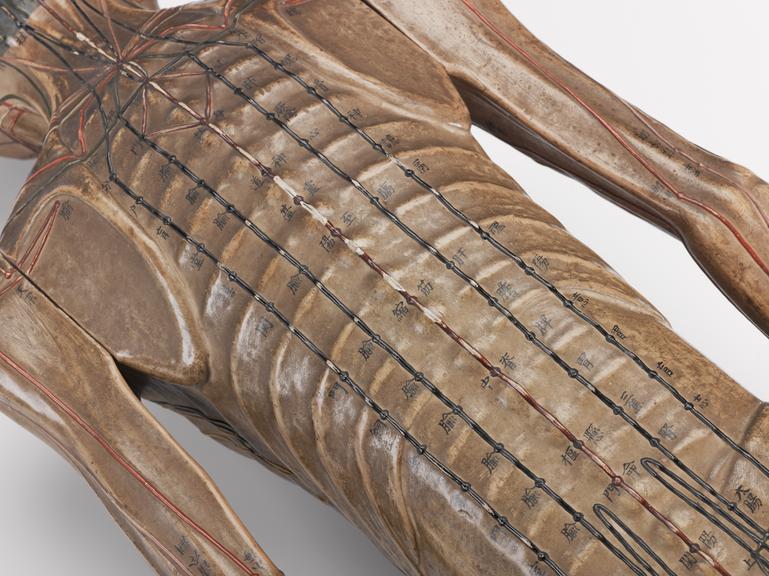 Wooden Acupuncture Model | Science Museum Group Collection