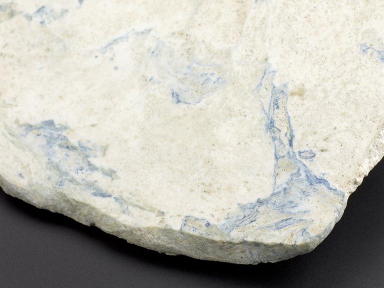 Small piece of plaster compo | Science Museum Group Collection