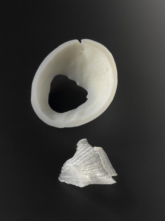 3D printed bone scaffold | Science Museum Group Collection