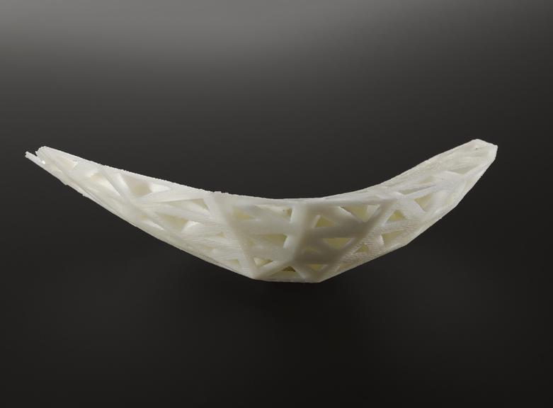 3D printed bone scaffold | Science Museum Group Collection