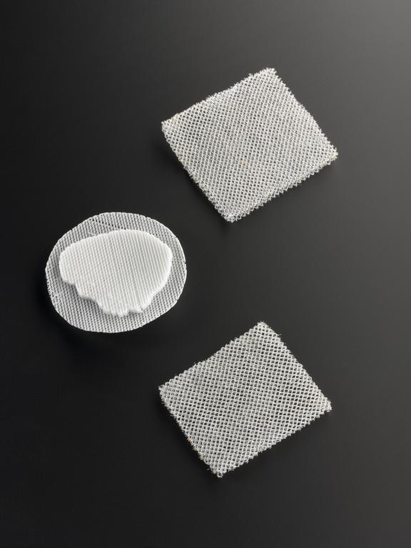 3D printed model of bone scaffold | Science Museum Group Collection