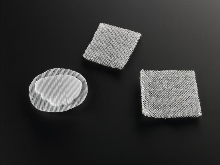3D printed model of bone scaffold | Science Museum Group Collection