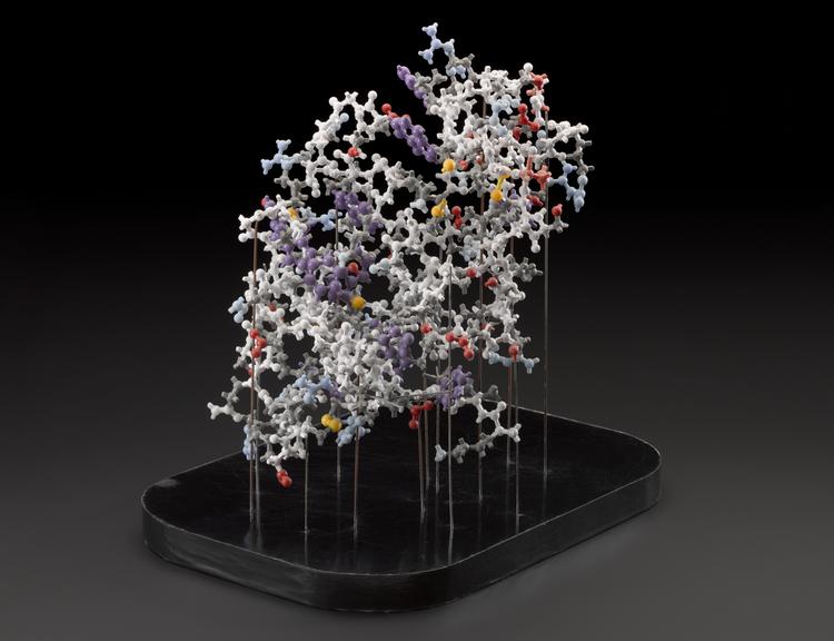 Model of hen egg white lysozyme | Science Museum Group Collection