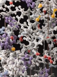 Model of hen egg white lysozyme | Science Museum Group Collection