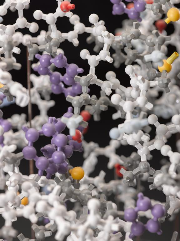 Model of hen egg white lysozyme | Science Museum Group Collection