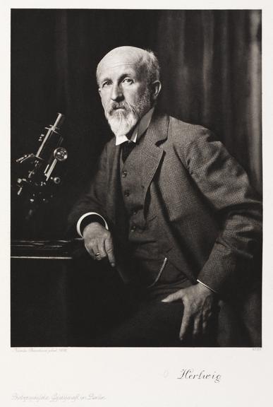 Photogravure of Oscar Hertwig | Science Museum Group Collection
