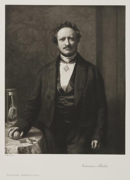 Portrait, photogravure, Johannes Peter Muller / Photographische ...