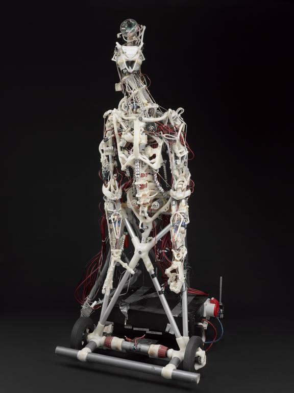 CRONOS/ECCE1, the first anthropomimetic robot | Science Museum Group ...