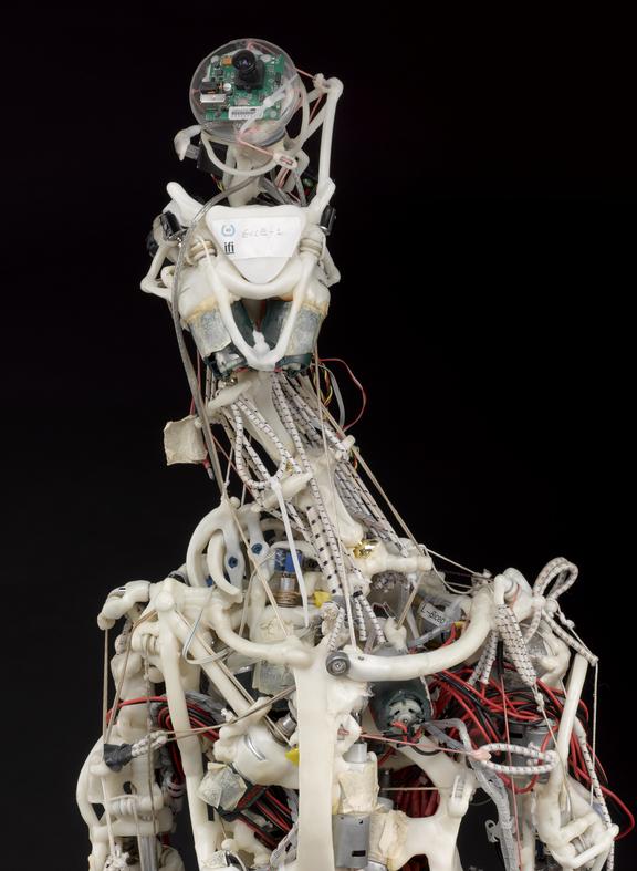 CRONOS/ECCE1, the first anthropomimetic robot | Science Museum Group ...