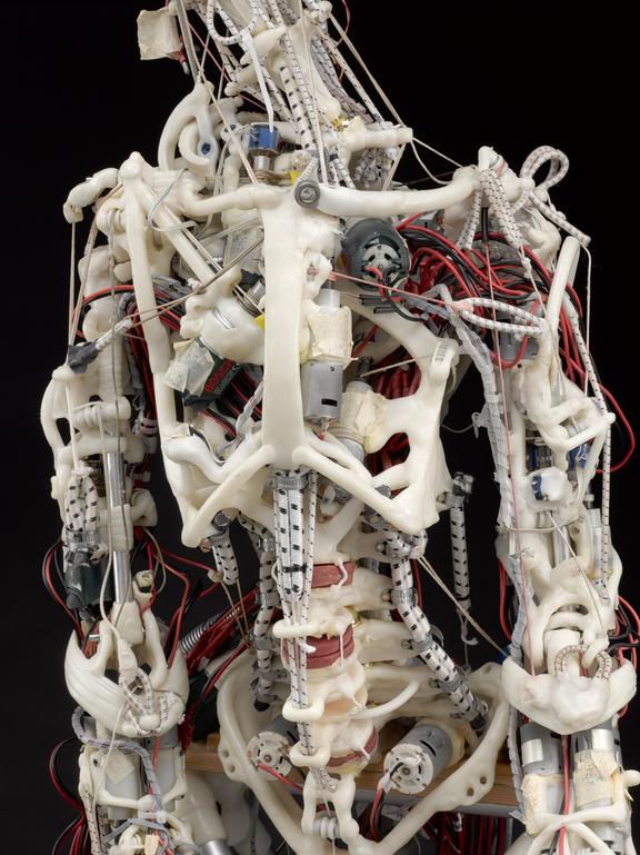 CRONOS/ECCE1, the first anthropomimetic robot | Science Museum Group ...