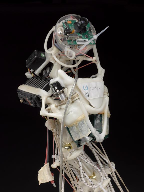 CRONOS/ECCE1, the first anthropomimetic robot | Science Museum Group ...