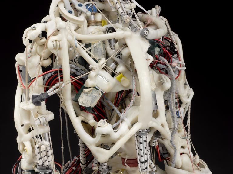 CRONOS/ECCE1, the first anthropomimetic robot | Science Museum Group ...