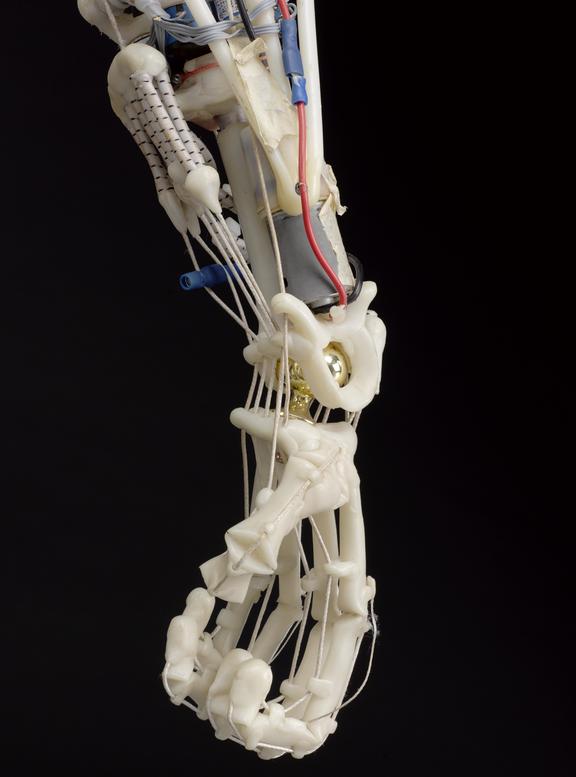 CRONOS/ECCE1, the first anthropomimetic robot | Science Museum Group ...