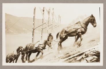 Volume 3 | Science Museum Group Collection