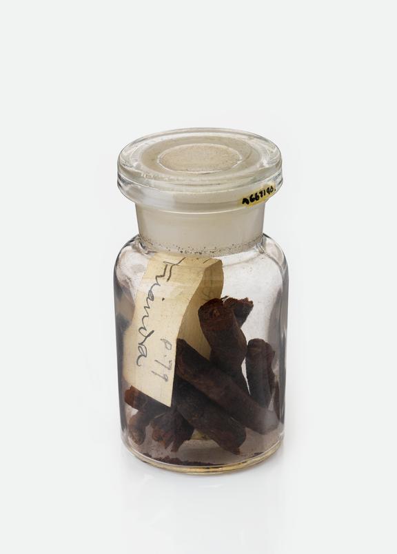 Glass specimen bottle | Science Museum Group Collection