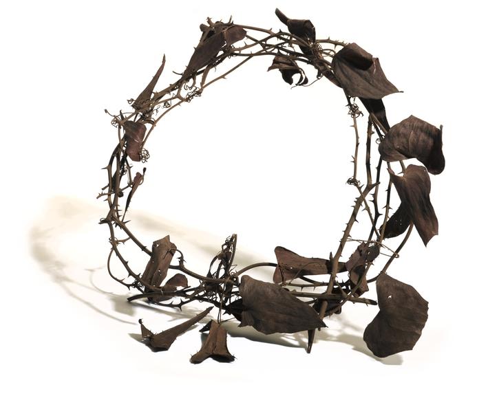 Crown of thorns from Angola, 1900-1937 | Science Museum Group Collection