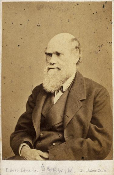 Charles Darwin | Science Museum Group Collection