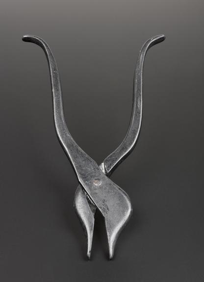 Copy of ancient butcher-bird forceps | Science Museum Group Collection