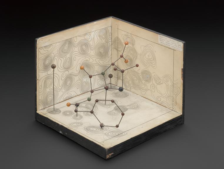 Molecular model of penicillin by Dorothy M Crowfoot Hodgkin, England ...
